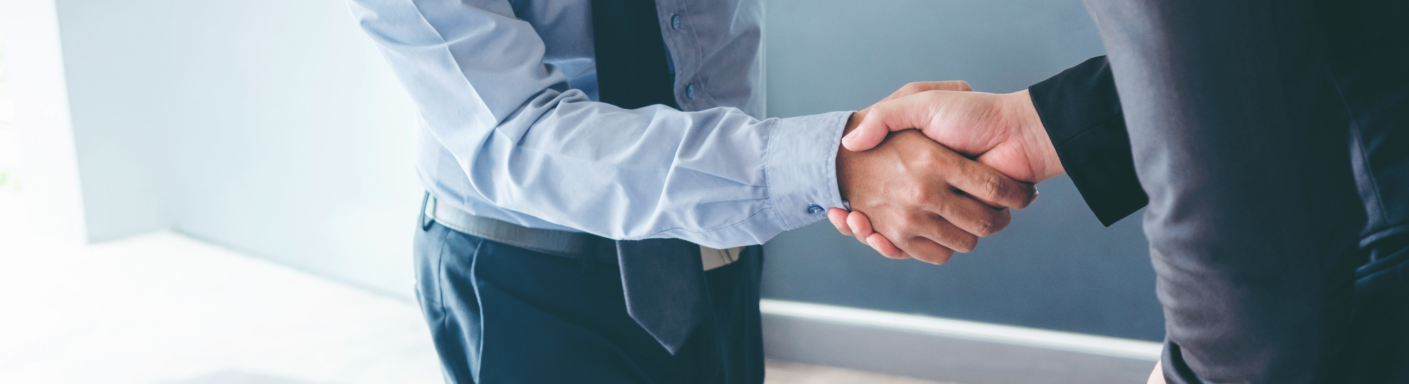 Testimonial - Professional Interpretation and Translation Services